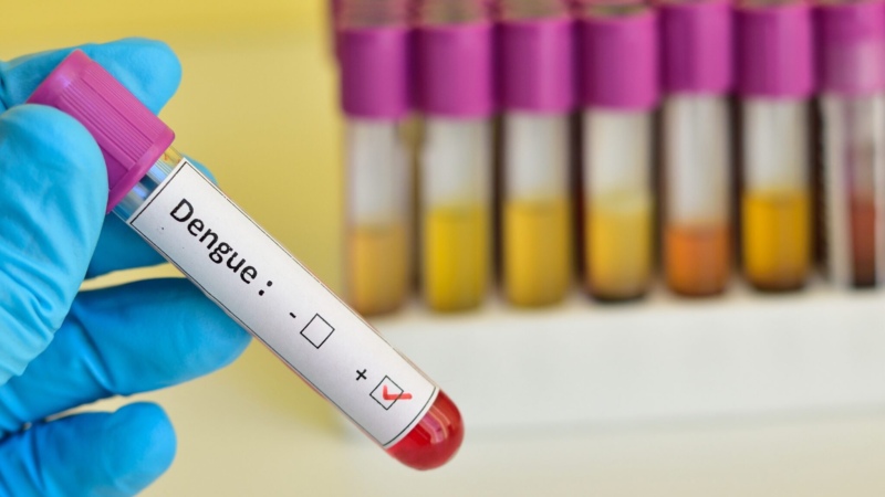 Dengue awareness: a critical front in the fight against AMR and ...